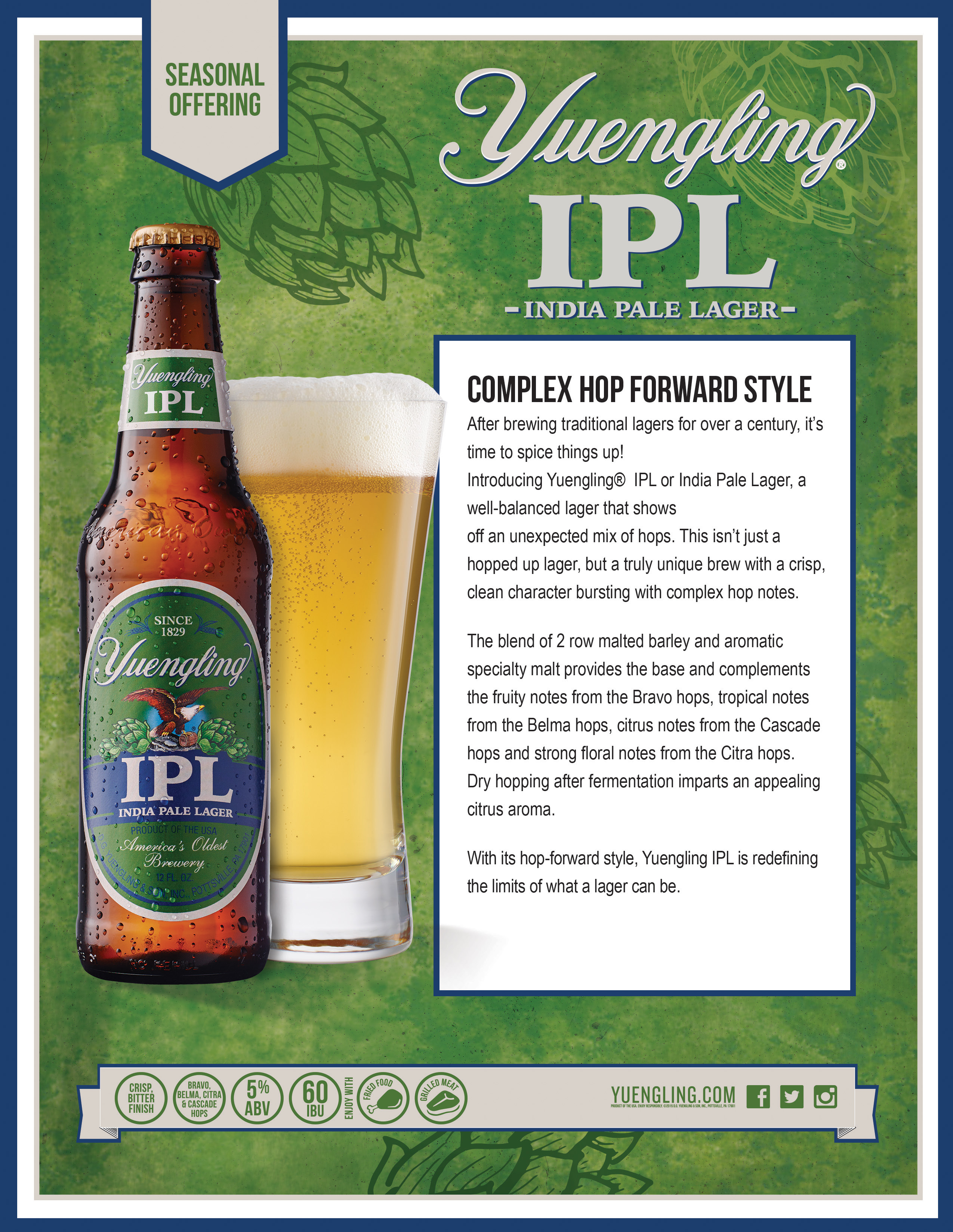 New From Yuengling - India Pale Lager (IPL) - LaGrange Grocery